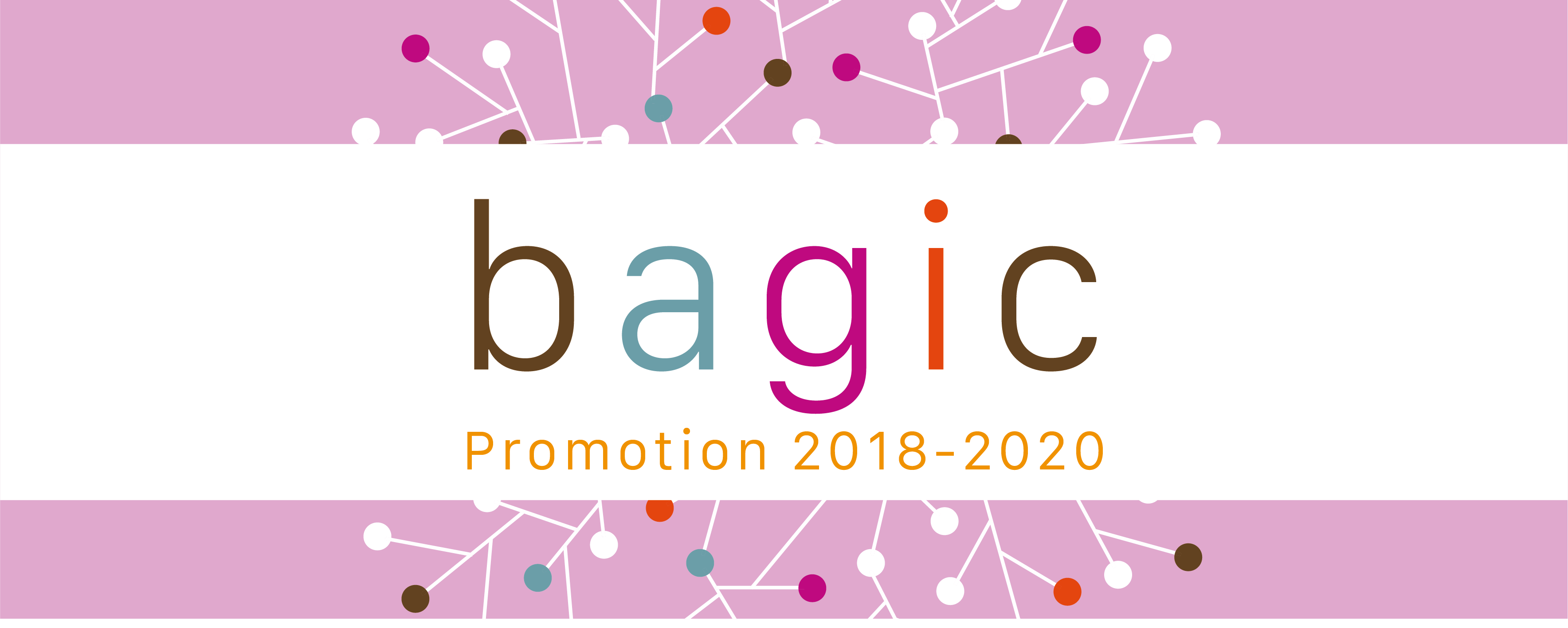 banner_bagic_icj_siteweb_2018 - icj bagic